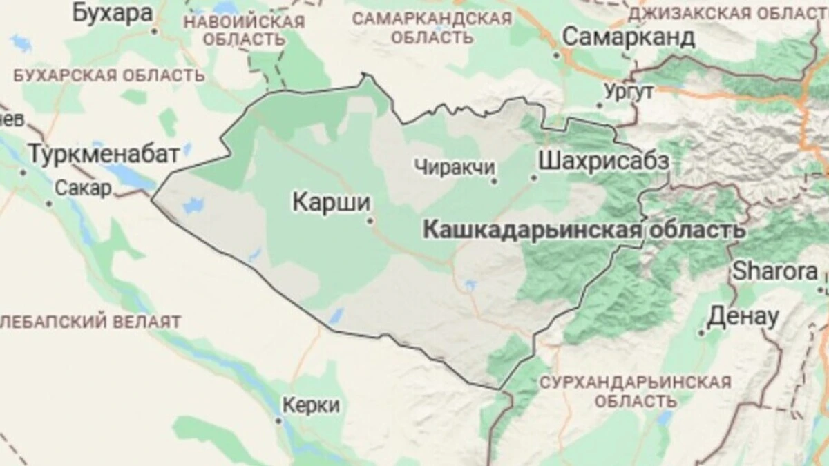 Rights activist arrested in Kashkadarya region, Ezgulik head claims ...